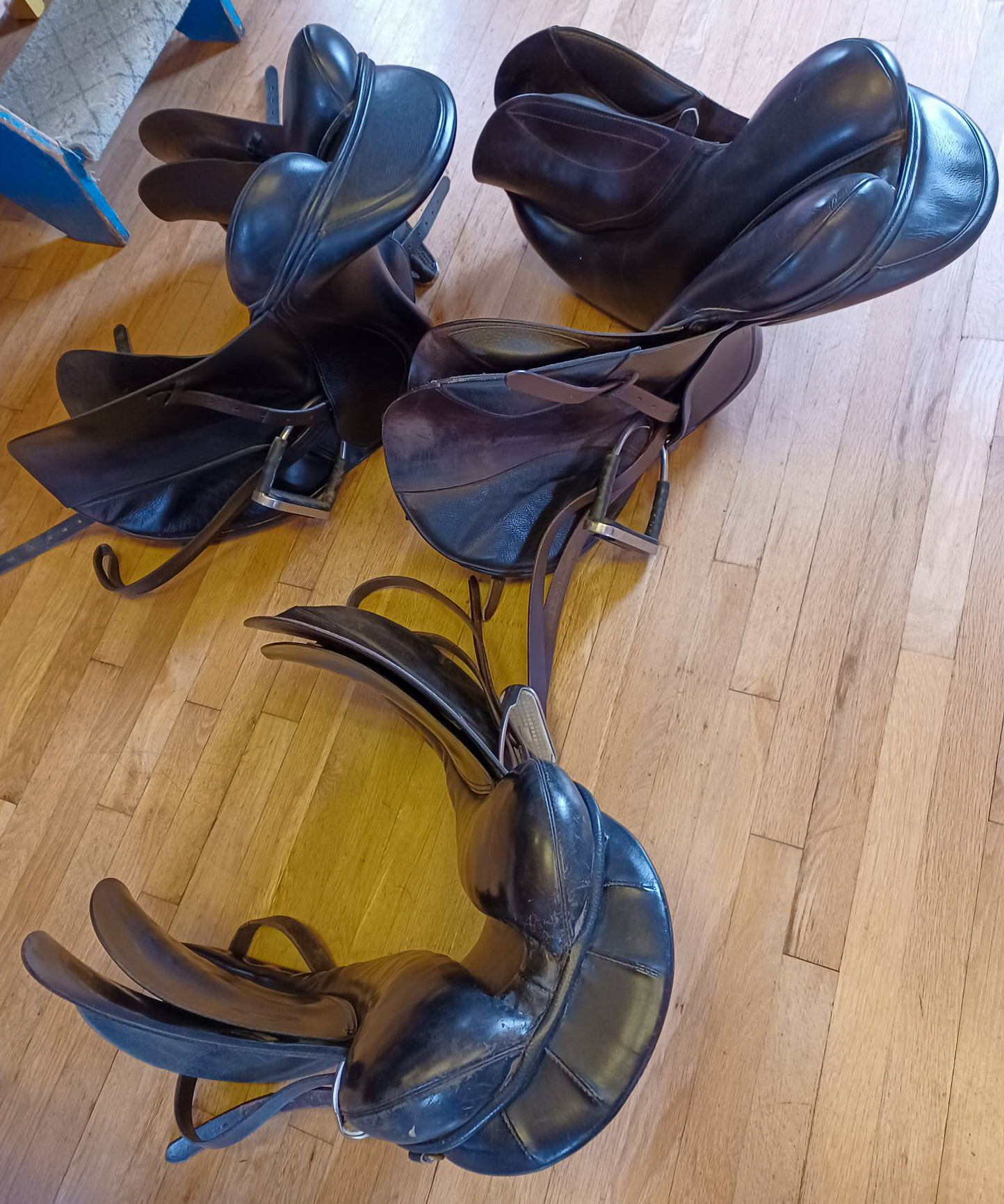 Events – Bromley Bridleways Access Group