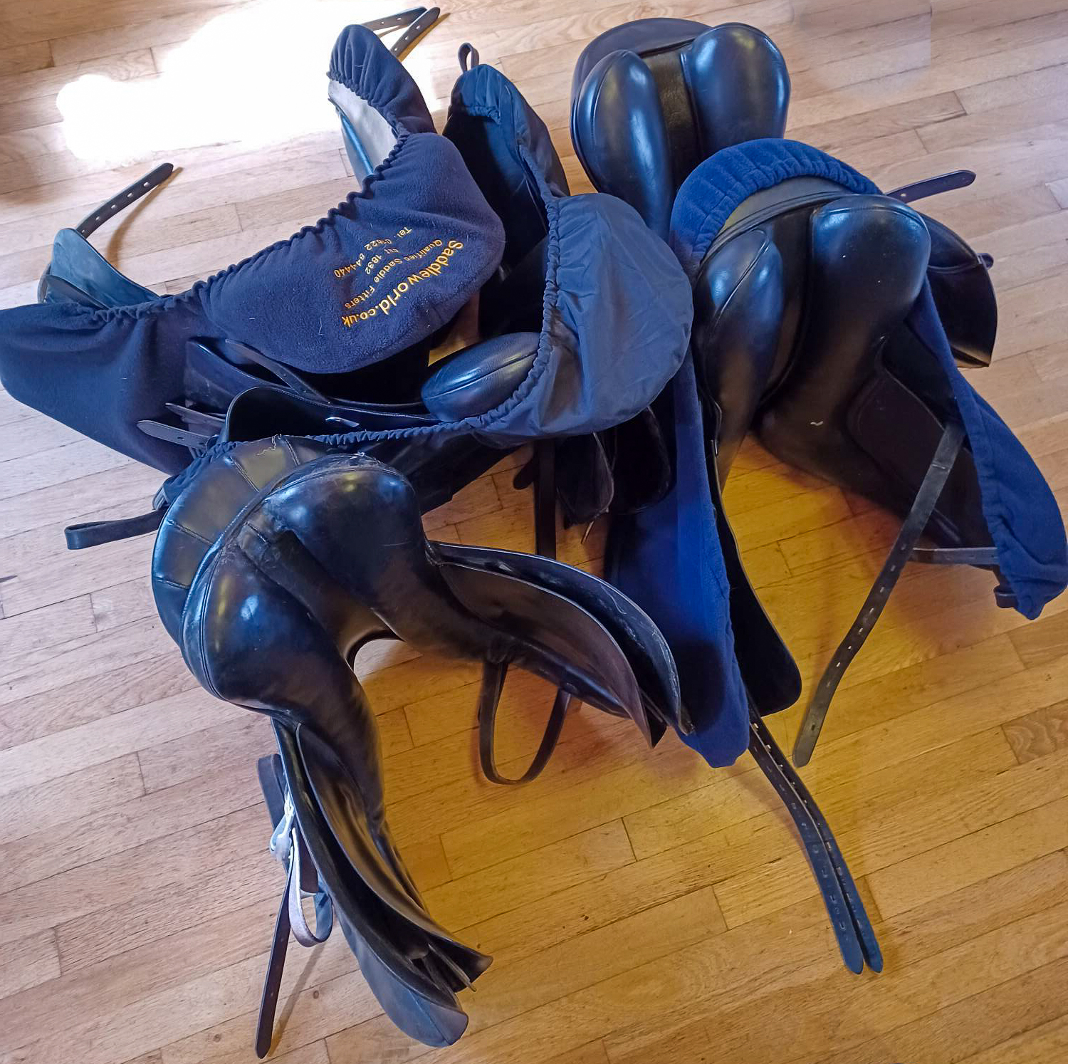 Events – Bromley Bridleways Access Group